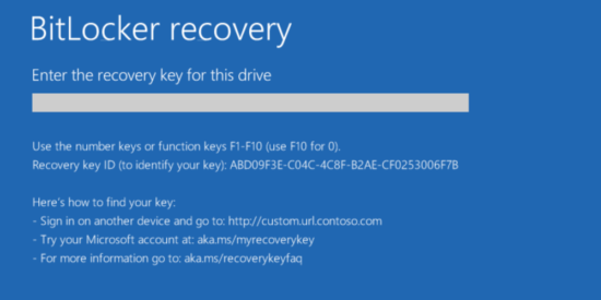 Preventing BitLocker Lockout and Recovering Access to Encrypted System ...